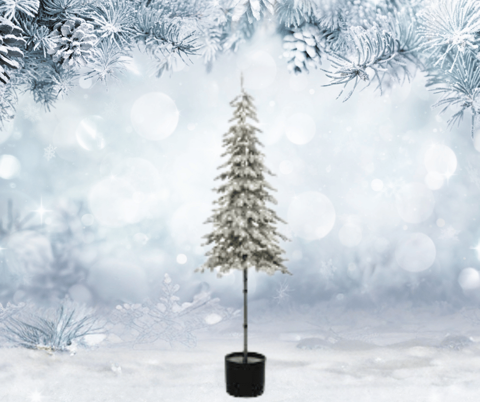 6' Potted Flocked Alpine Tree – Infinity Events & Decor
