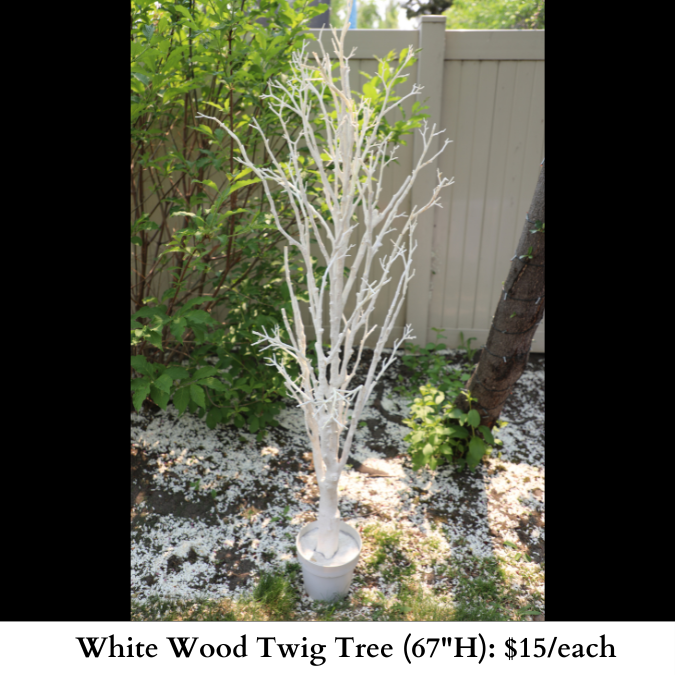White Wood Twig Tree – Infinity Events & Decor